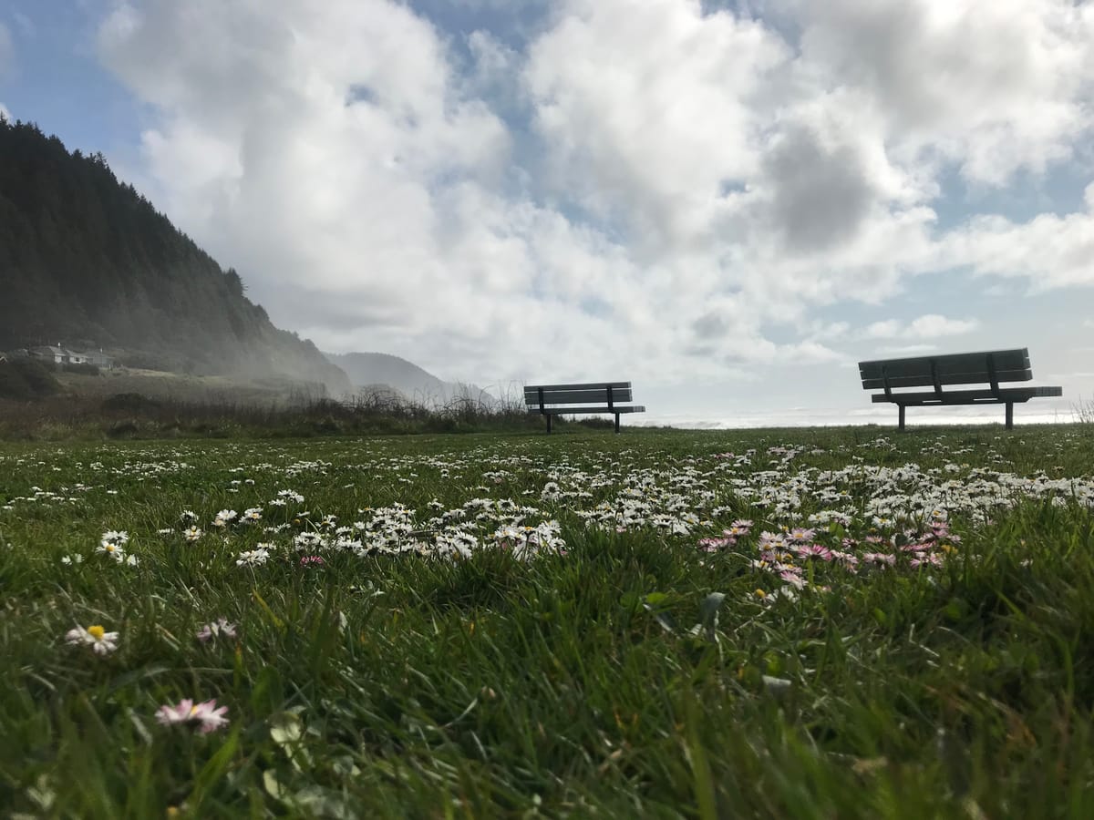 Seth Simons - Humorism